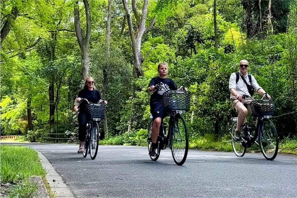 Kyoto E-Bike Tour with a Local Guide | SunnyCycle